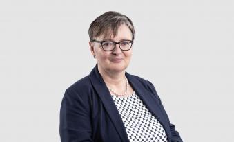 Organisation | STI Holding AG